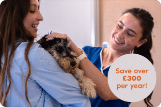 Swayne and Partners - Bury St Edmunds - We are Kin Vet Community