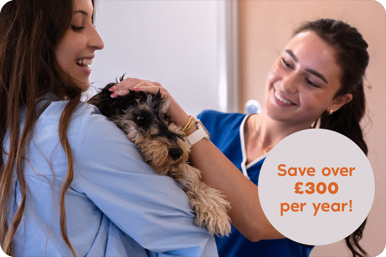 Find My Practice - We are Kin Vet Community