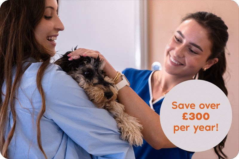 Find My Practice - We are Kin Vet Community