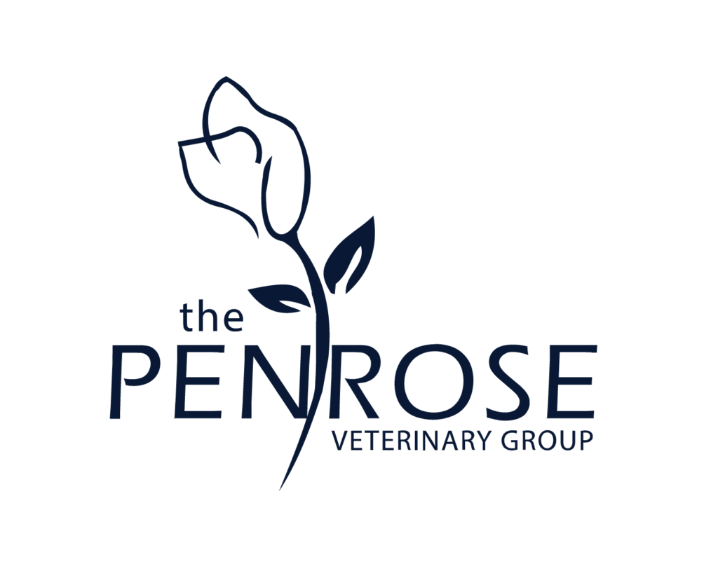 Find My Practice - We are Kin Vet Community